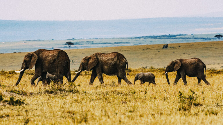 Insights – Pendleton Square Trust